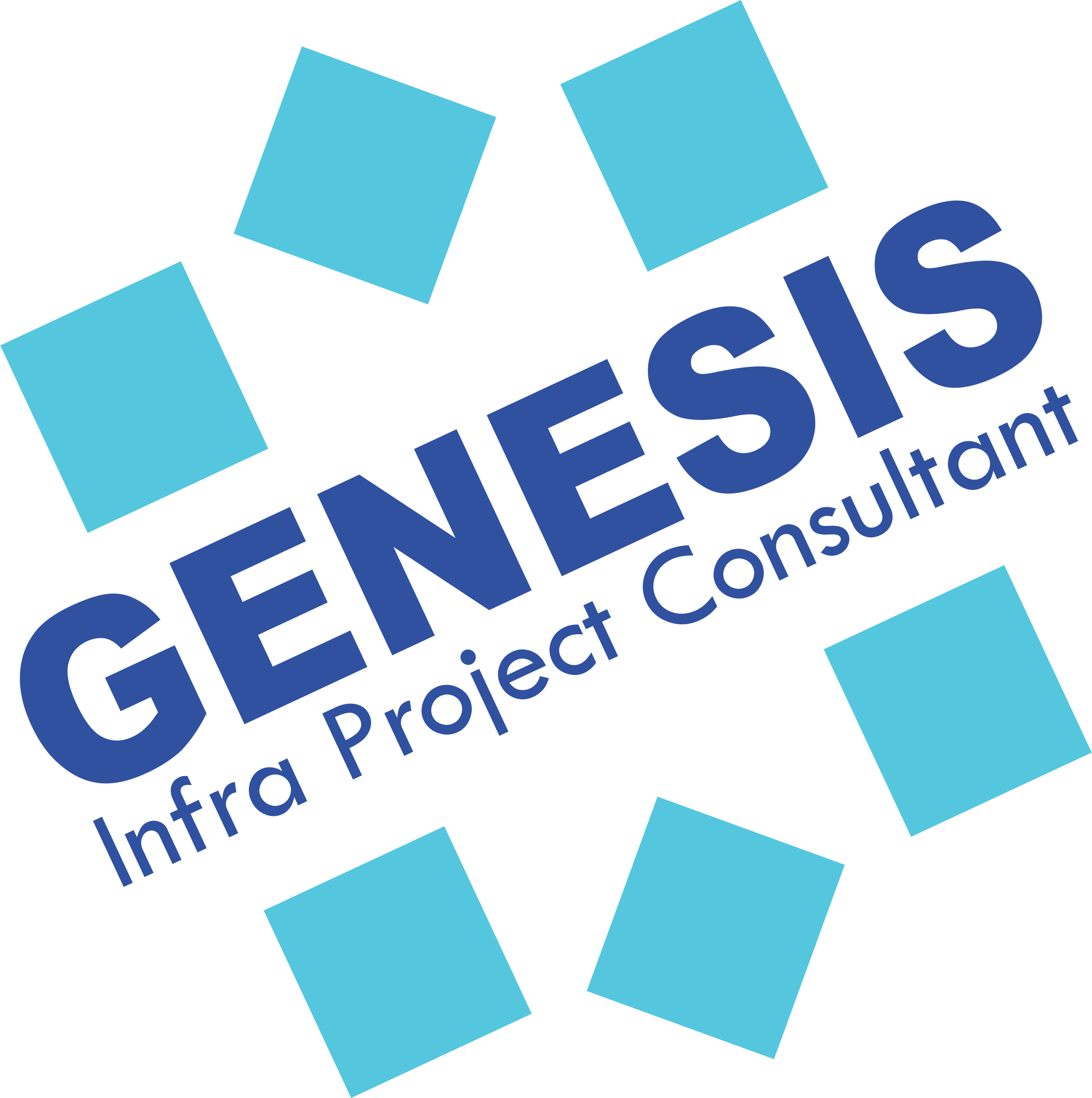 Services - Genesis Infra Project Consultant